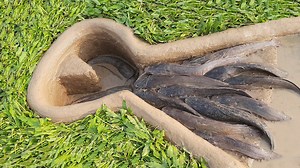 350K views · 707 reactions | Amazing Easy Fish Trap | Unique Easy Fish Trap System #fishinglife #fish #fishing | Catch Fish With ET | Facebook