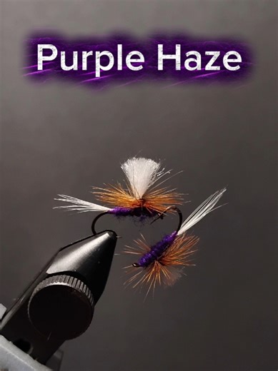 How to Fish the Kootenie River: A Guide