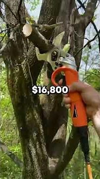 My Stepdad Refused to Pay for My Medical Treatment, Said "You're Not Worth Keeping Alive" & My Mom..