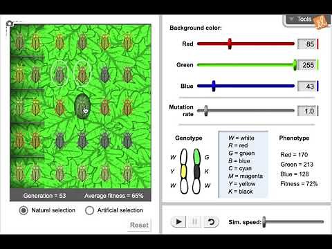 Gizmo Lab - Artificial and Natural Selection