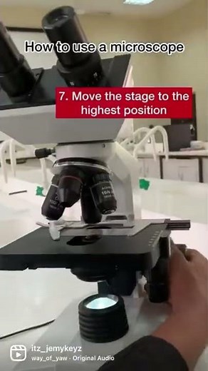 HOW TO USE A MICROSCOPE #microscope #anatomy #histology