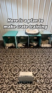 19K views · 593 reactions | ✅ Daytime crate training doesn’t “just...