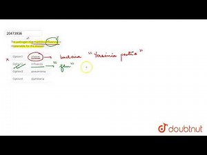 The pathogen Haemophilus influenzae is responsible for the disease: