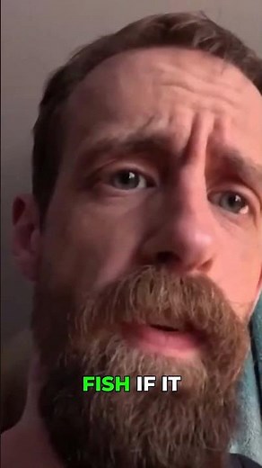 Why Sponge Filters Are My Top Pick For Fish Tanks!