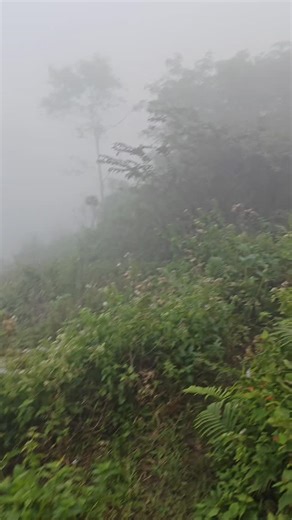 Trail running on restricted visibility, no lookout, no radar, no ECDIS, only my smile and a stubborn sense of adventure. @dalaguetecrazifiedtrailfest #solorunner | Dodz Berame