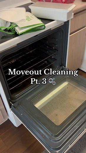 Moveout Cleaning Pt. 3 - Tackling the Oven with Zep Oven Cleaner & Pumice Stone