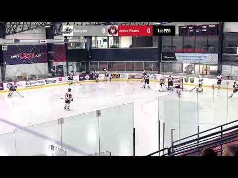 Arctic Foxes 16U2 vs. Allegheny Badgers 16U3 11/22/2025