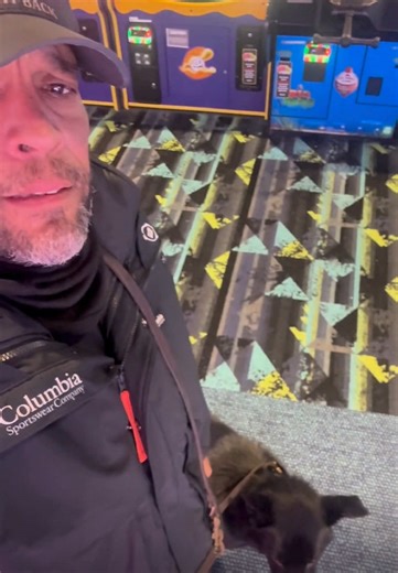 This is Zulu. What you see here isn't just training. It's building a foundation for real life. 👉🏻 Zulu trains at the mall by practicing: • walking without a leash • obedience commands such as sit, stay, left, and right • focus and self-control in a public environment full of stimuli A well-balanced dog is not born ready. 👉🏻 Balance is built with: • constant socialization • proper exposure to stimuli • physical and mental exercise • continuous, not occasional, training When genetics, training