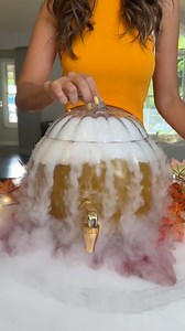 592K views · 10K reactions | Best Fall party idea!  be the life of the party with this awesome punch, which can be family friendly, or adult.  It was so cheap, and so fun to add dry ice and make it magical! Produced by Wonder and Raw, Network Media, and Janelle Flom | Crafts Hacks and Laughs | Facebook