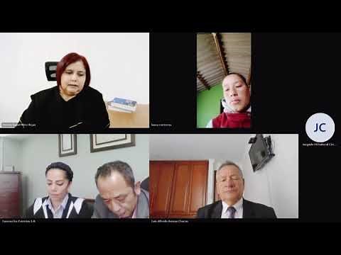 Las cinco etapas de la audiencia inicial laboral (art.77cptss)