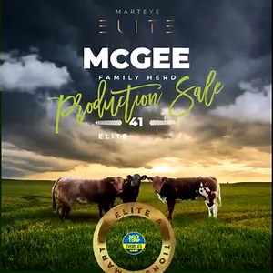 MartEye ELITE in association with Mid Tipp Mart presents The McGee Family Production Sale 41 Elite Heifers 26th - 29th November ONLINE ONLY Mid Tipp Mart - Thurles - PSRA Licence No:002538 Aisling McGee | MartEye