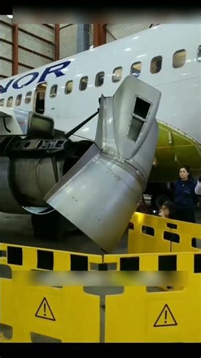 Aircraft Thrust Reverser: Plane Ka Ultra Powerful Brake System!