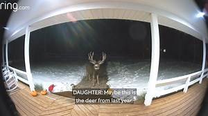 32K views · 677 reactions | Sound on! Justin and his daughter have the sweetest conversation when some holiday magic appeared at their front door. “Ring alerted us to the movement outside when we were getting our kids ready for bed. We peeked out the blinds to see the surprise. Our children are young enough that any deer with "horns" are reindeer to them.” | Ring | Facebook