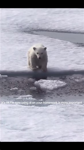 Climate Change Awareness and the Impact of AI