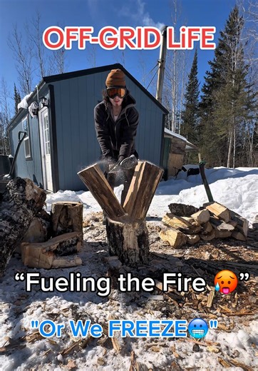 Chop. Stack. Heat. 🪓🔥 #offgrid #cabinlife #woodchopping #selfreliance
