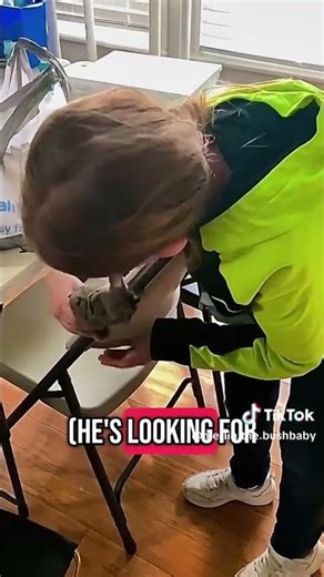 Merlin with the humans!