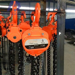 [Hot Item] 1000kg Construction Hoisting Equipment Hand Chain Hoist