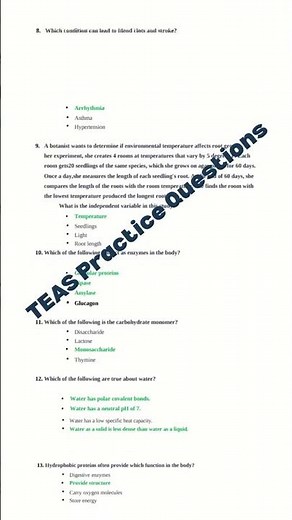 The Only TEAS Exam Help You’ll Ever Need!