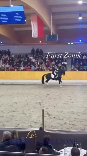 The Oldenburger Stallion Days 2025 - treated us to a wonderful show of dressage stallions. Check out our video to see the following stallions in action. Morricone Fiji V-Power Fiancé Fürst Zonik Von und Zu Erste Sahne Debutant PS Roman Empire Escaneno One Million Va Bene Pride Dante Weltino OLD Stallions awarded Elite status - Escolar Bordeaux Vitalis | Elite Stallions