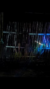 LASER show System #lightshow | Battle Paupas Sound System