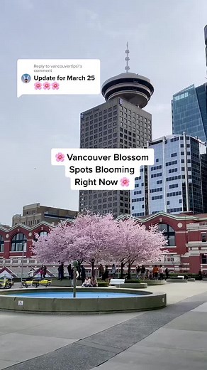 Vancouver Blossom Spots Blooming Now