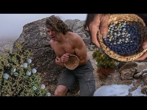 30K views · 374 reactions | I explore the cold desert to harvest juniper berries 𢡄 | Chad Zuber | Facebook