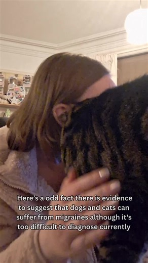 Fun fact, even pets can show migraine-like signs — bodies are wild. #migrainefacts #softdays #ukcreator #chroniclife #gentlevibes