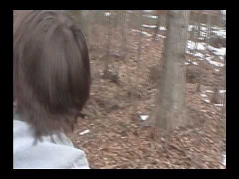 Tree Octopus Attack!