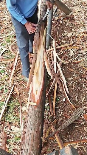 Skilled Woodworker Expertly Stripping Bark from a Freshly Cut Log