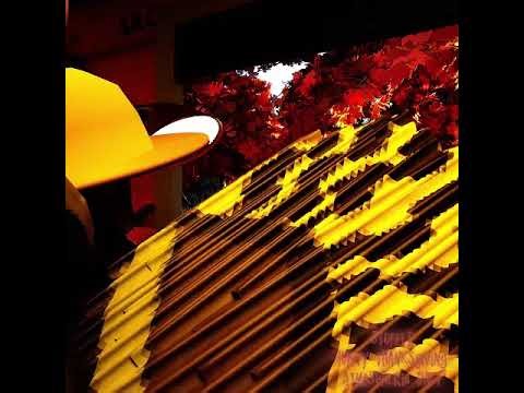 Happy Thanksgiving; 4 Hour Loop