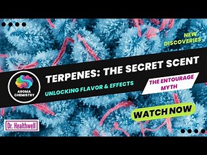 Terpenes The Secret Scent: Design Your High