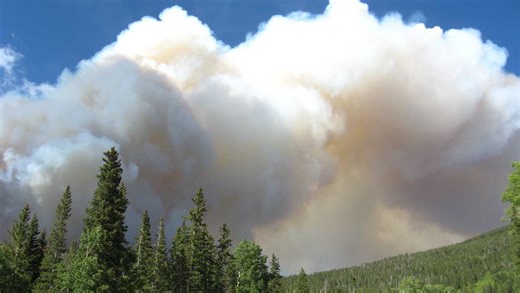 Here's what you need to know about Ready, Set, Go!