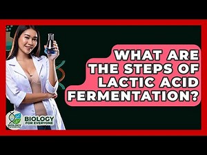 What Are The Steps Of Lactic Acid Fermentation? - Biology For Everyone