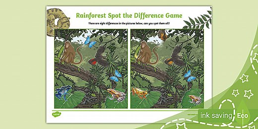 Rainforest Spot the Difference Game
