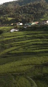 Folk dance of uttarakhand ! #teamuttaranchaltourism | Chamoli Garhwal