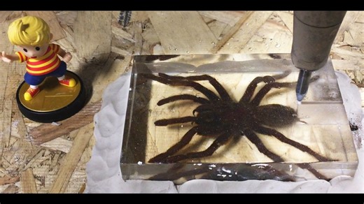 🕷️ Dissecting a real tarantula with a 60,000 PSI waterjet biology lesson 🕷️ Interesting