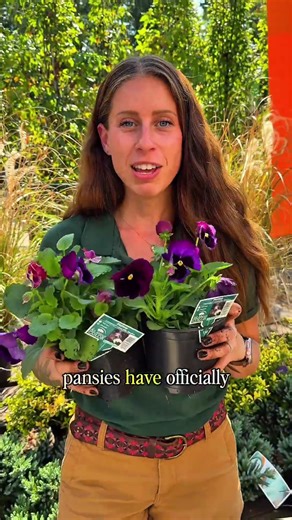 Fall Container Goals 🍂✨