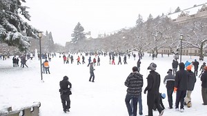19K views · 861 reactions | #TBT to the Quad, almost exactly four years ago. | UW Student Life | Facebook