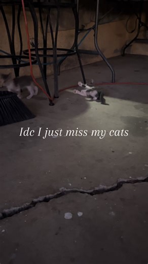 missladybugmay (@missladybugmay)’s videos with someday i'll get it - Alek Olsen