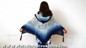 Butterfly Net Shawl - PDF Crochet Shawl Pattern - Video Tutorial - Etsy