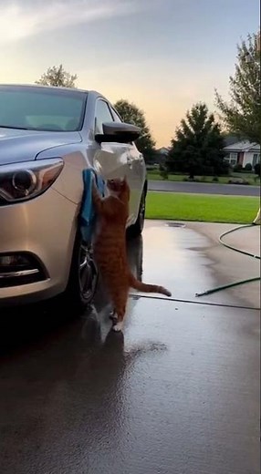 Broo tuns doesn't rain from the sky. We should work.