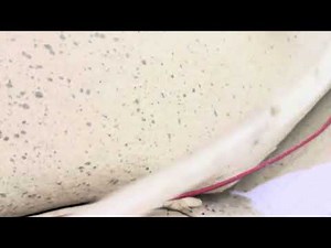 Installing Marinco trolling motor plug