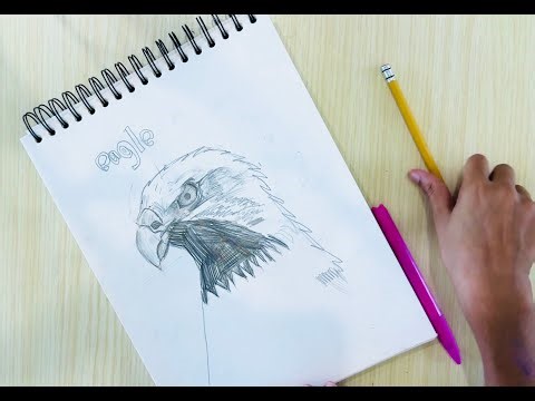 How to draw/sketch an Eagle. Kids Eagle sketching