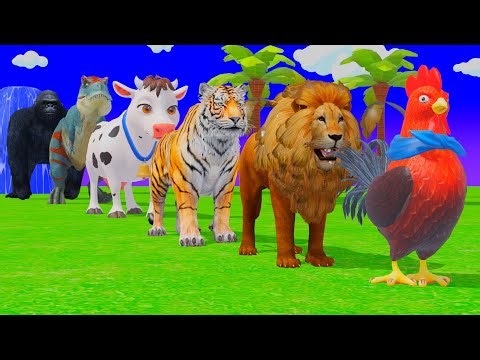 Long Slide Game with Tigers Lion Cow Hippopotamus Gorilla 3d Animal Game Funny 3d Animals
