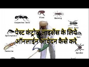 How to Get Your Pest Control Licence in Just Minutes!