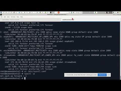ZeroTier Hub and Spoke