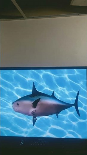 SpongeBob intro fandub Spanish ChatGPT