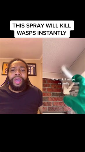 How to Kill Wasps Instantly: Effective Methods Revealed!