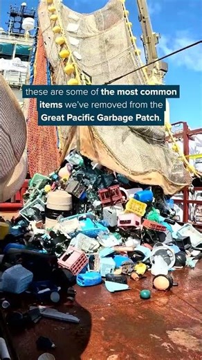 Can plastic-eating bacteria solve ocean plastic pollution?
