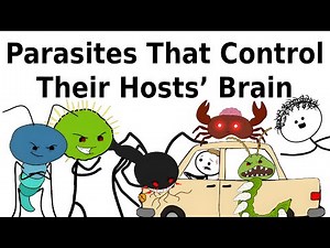 Parasites That Control Their Hosts' Brain